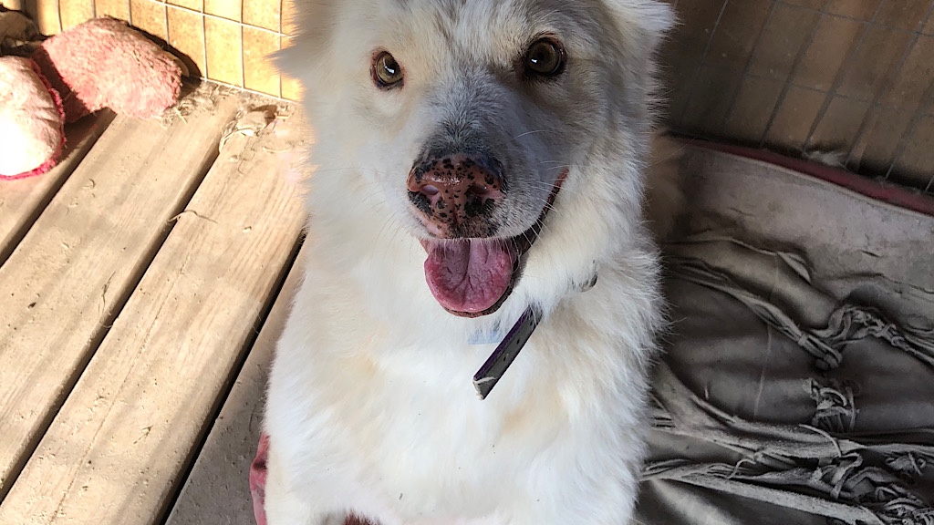 What Are My Hobbies? ⋆ Java Latte And Jesus Time